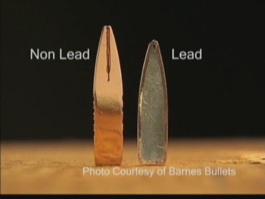 lead bullets