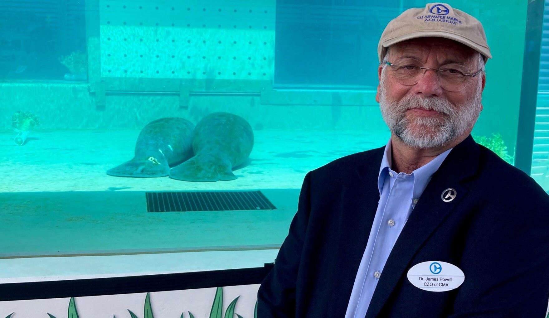 World-renowned manatee researcher James 'Buddy' Powell dies | WUSF
