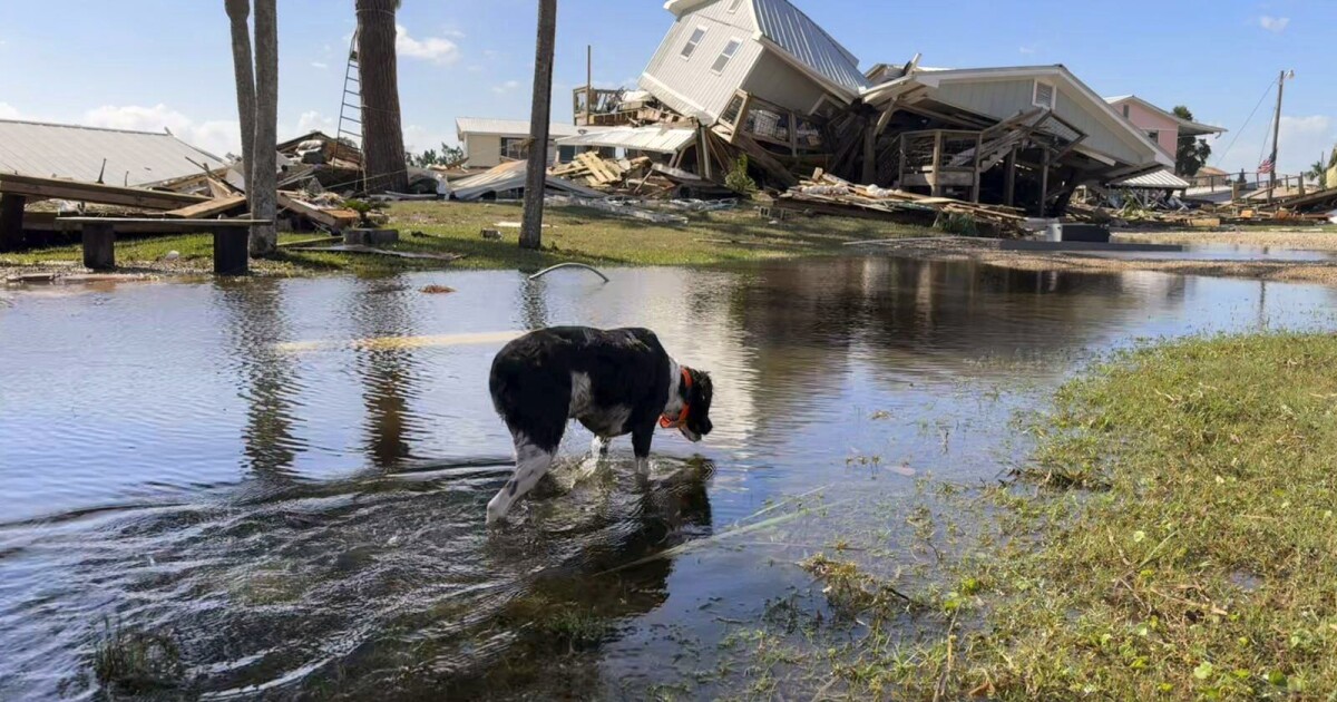 Hurricane recovery: Here's how to get help, and offer your assistance ...