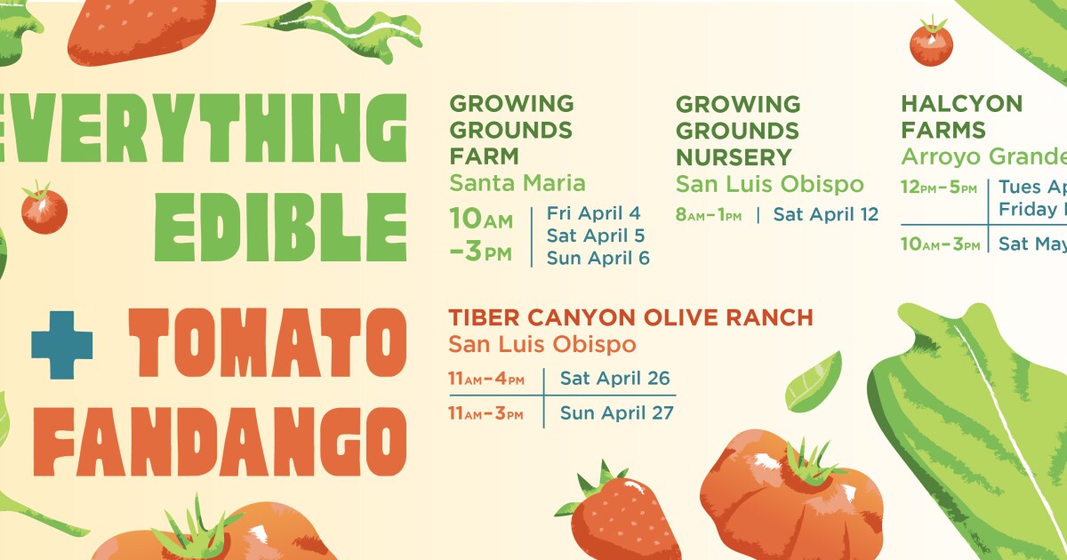 Tomato Fandango: Gardening Extravaganza