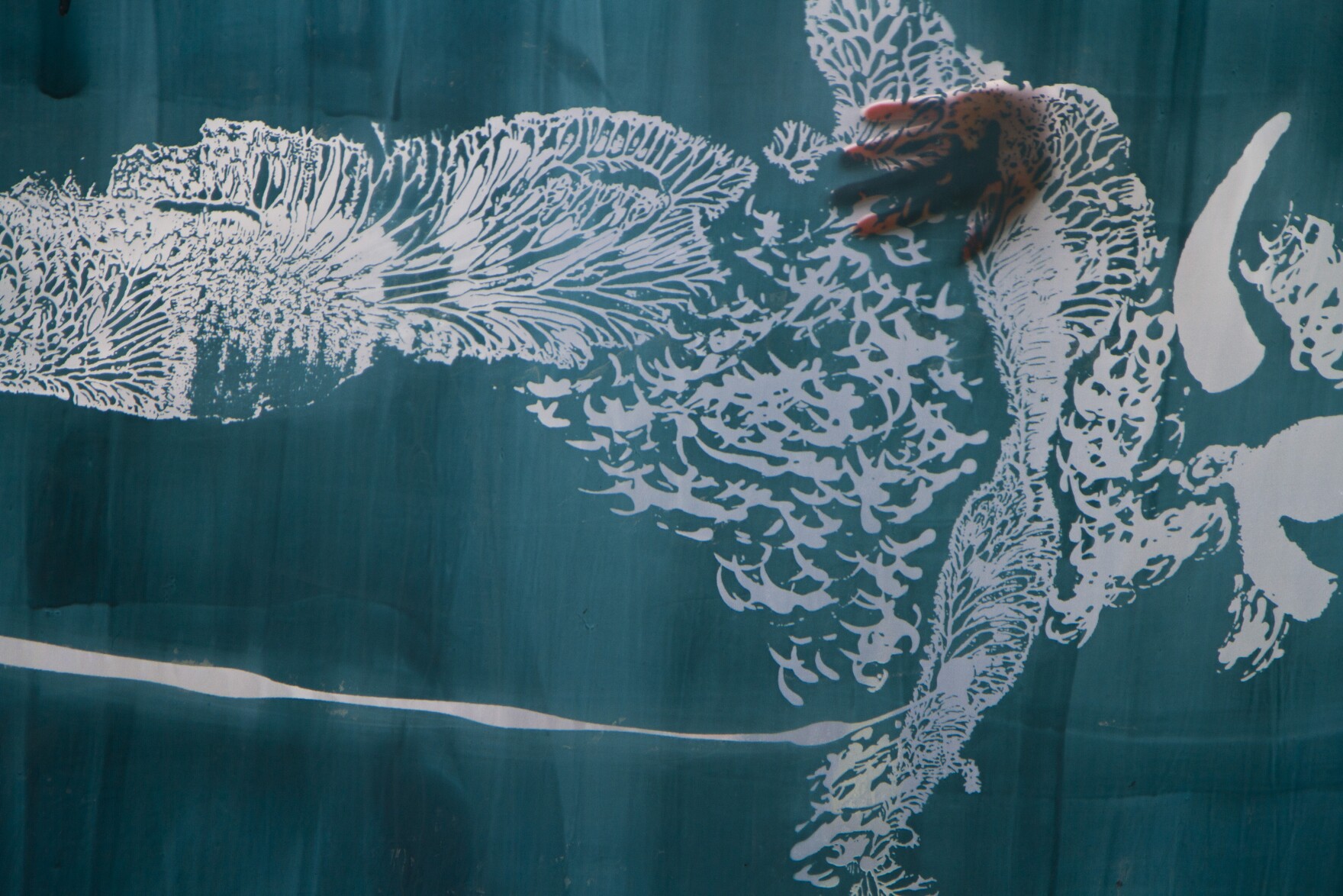 Painter Creates Animals With Her Body | SDPB