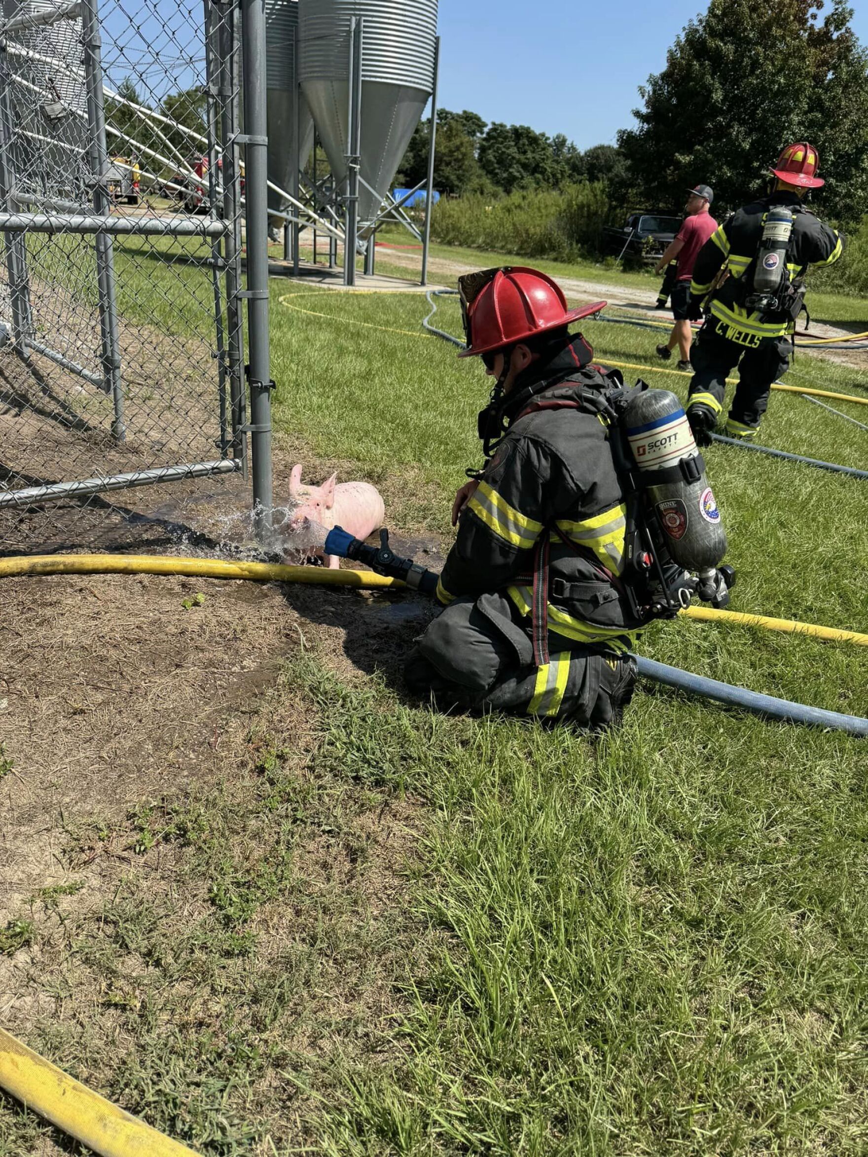 Hundreds of pigs killed in Tuesday barn fire
