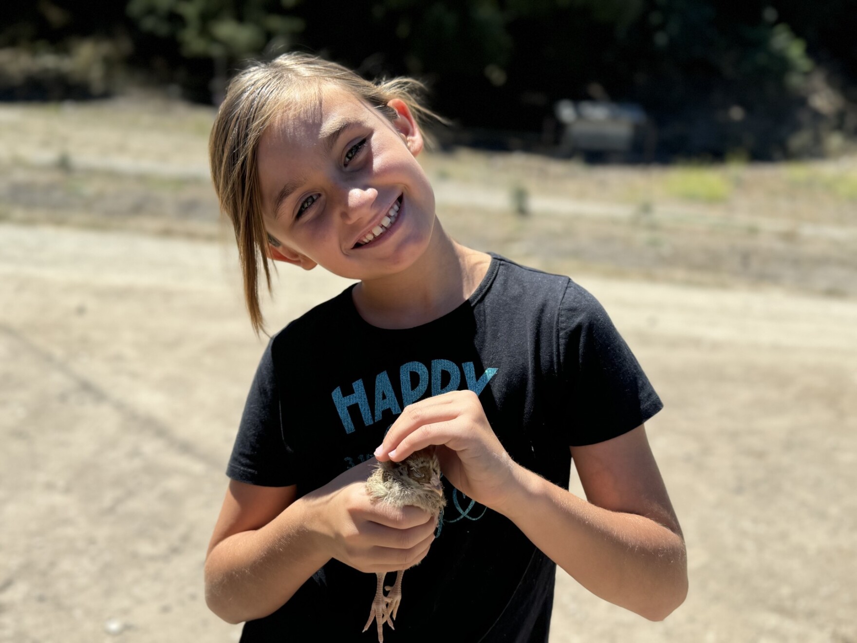 From farm to table, the family farmers inviting visitors to see where ...