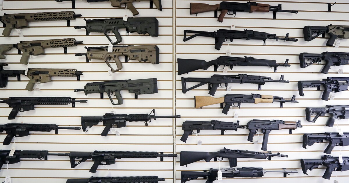 Study raises questions about licensed gun makers in Illinois who aren't ...
