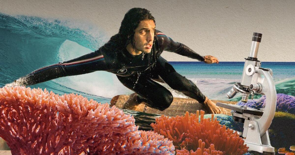 Understory | The Scientist Surfing to Fight Climate Change | Ideastream ...