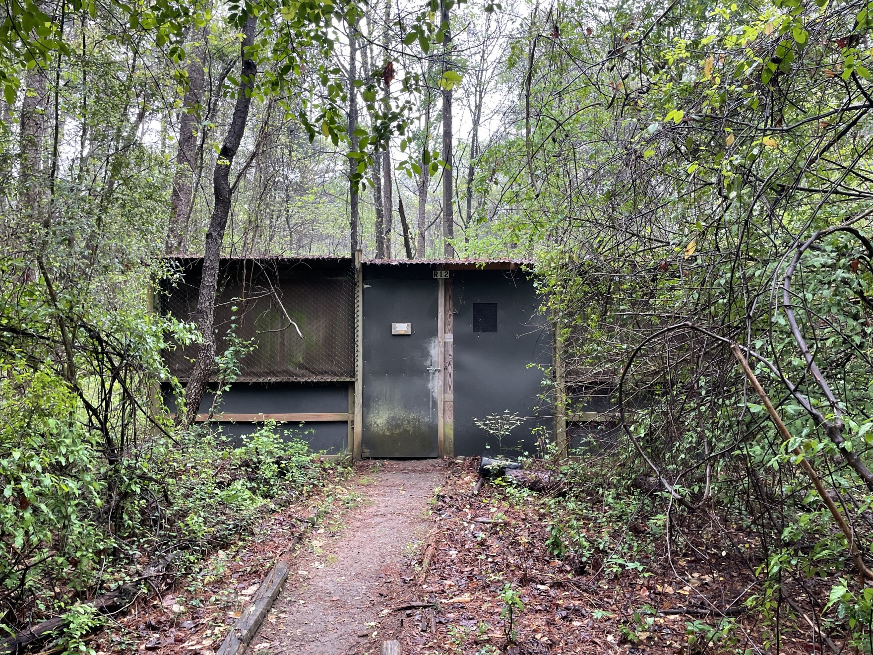 Finding Joy: What happens to orphaned owls? The Carolina Raptor Center has a foster program for ...