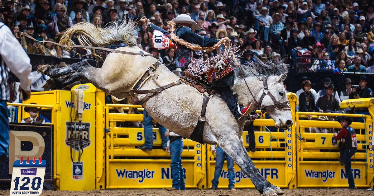 NFR Live : Stream ON National Finals Rodeo Online Free TV CHANNEL