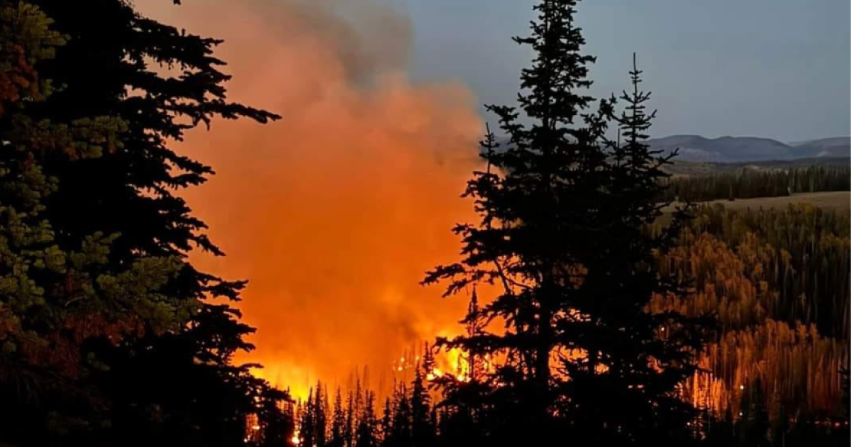 Yellow Lake Fire now at 2,300 acres, difficult terrain slows ...