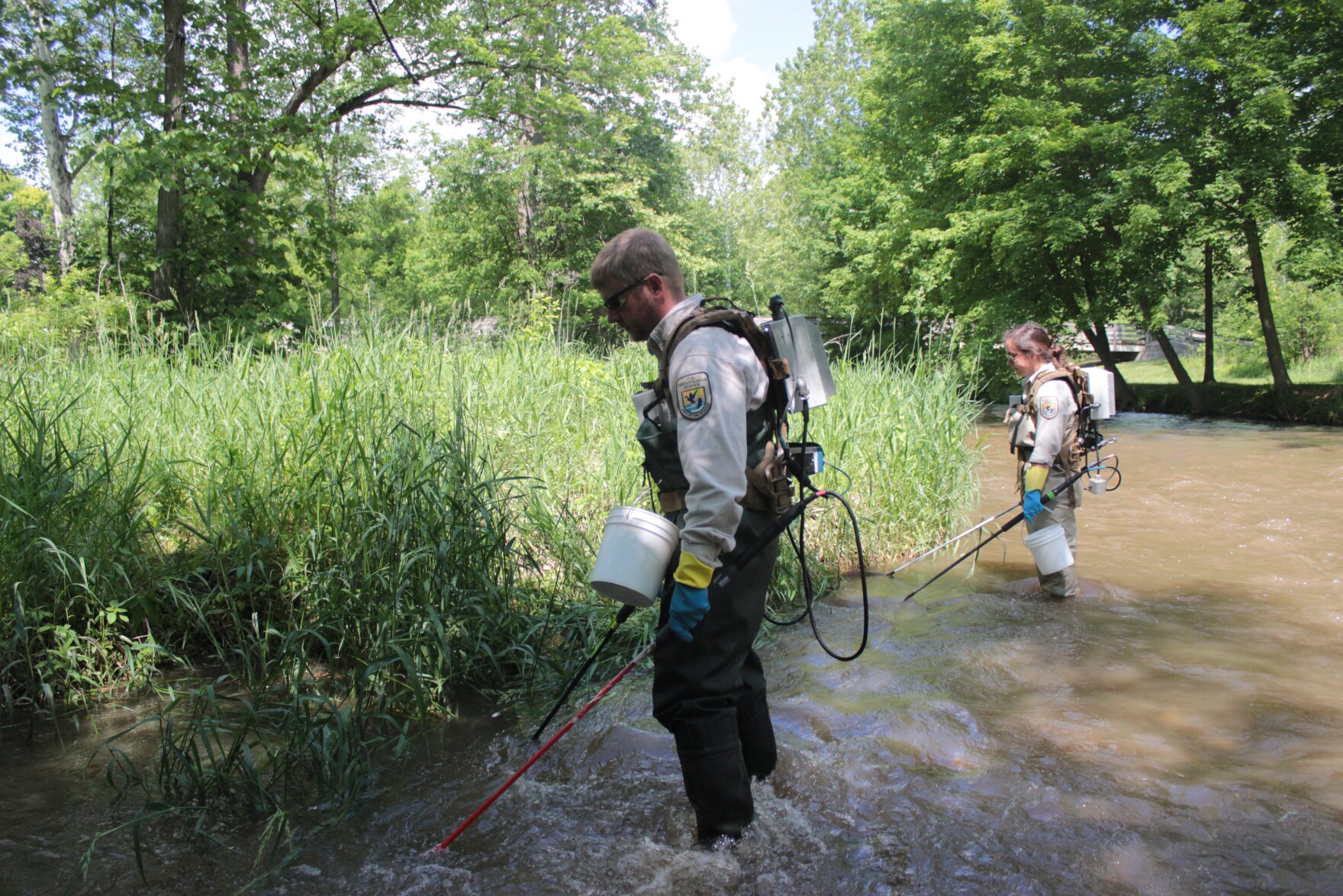 A never-ending $28 million battle against a Great Lakes parasite