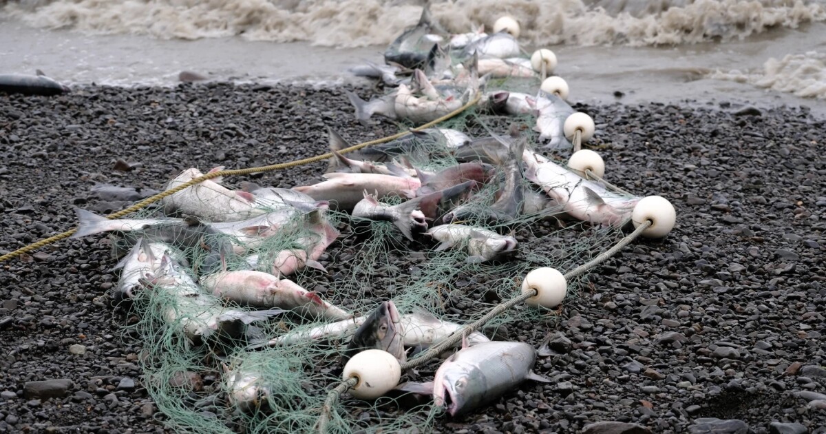 Bristol Bay tribe forms recycling program for fish nets, rain gear