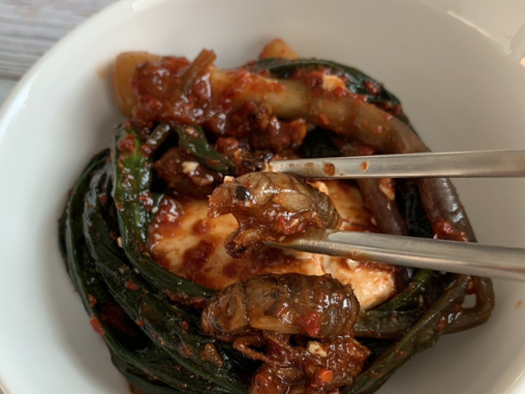 Cicadas are back — on the menu. A chef dishes up some insect recipe ...