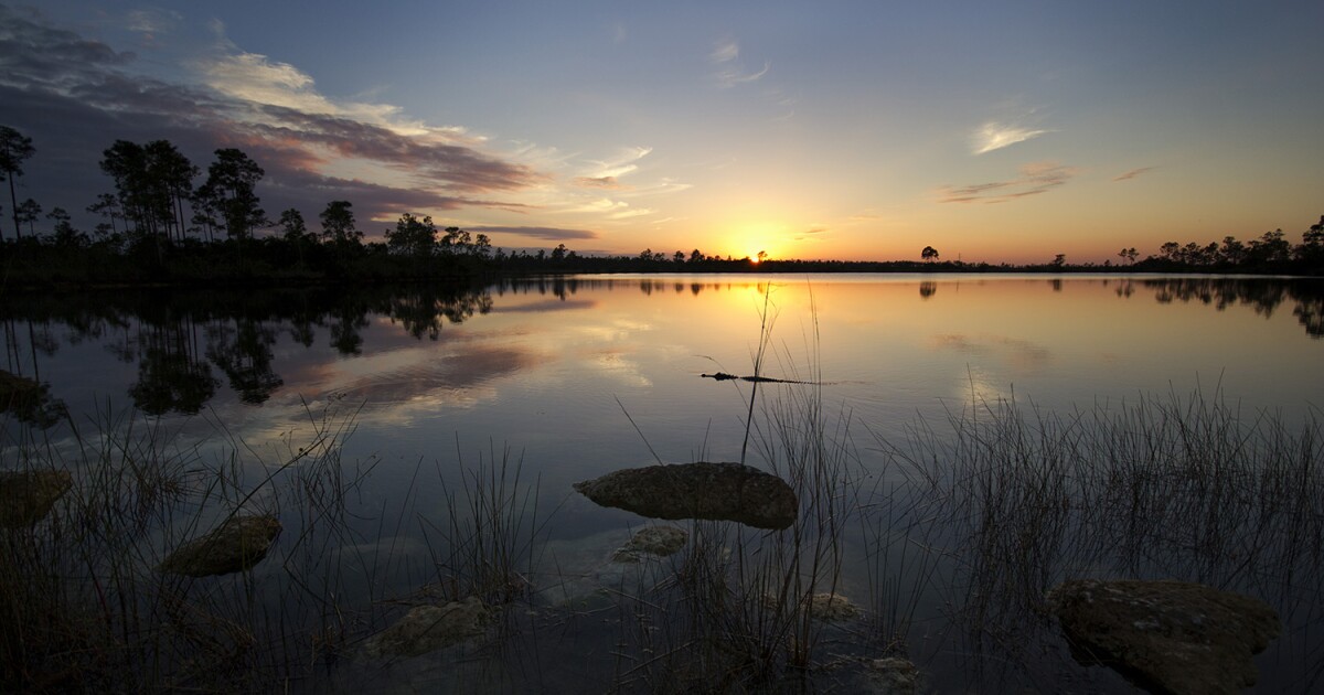 The Everglades, over the years and through your eyes - a Florida ...