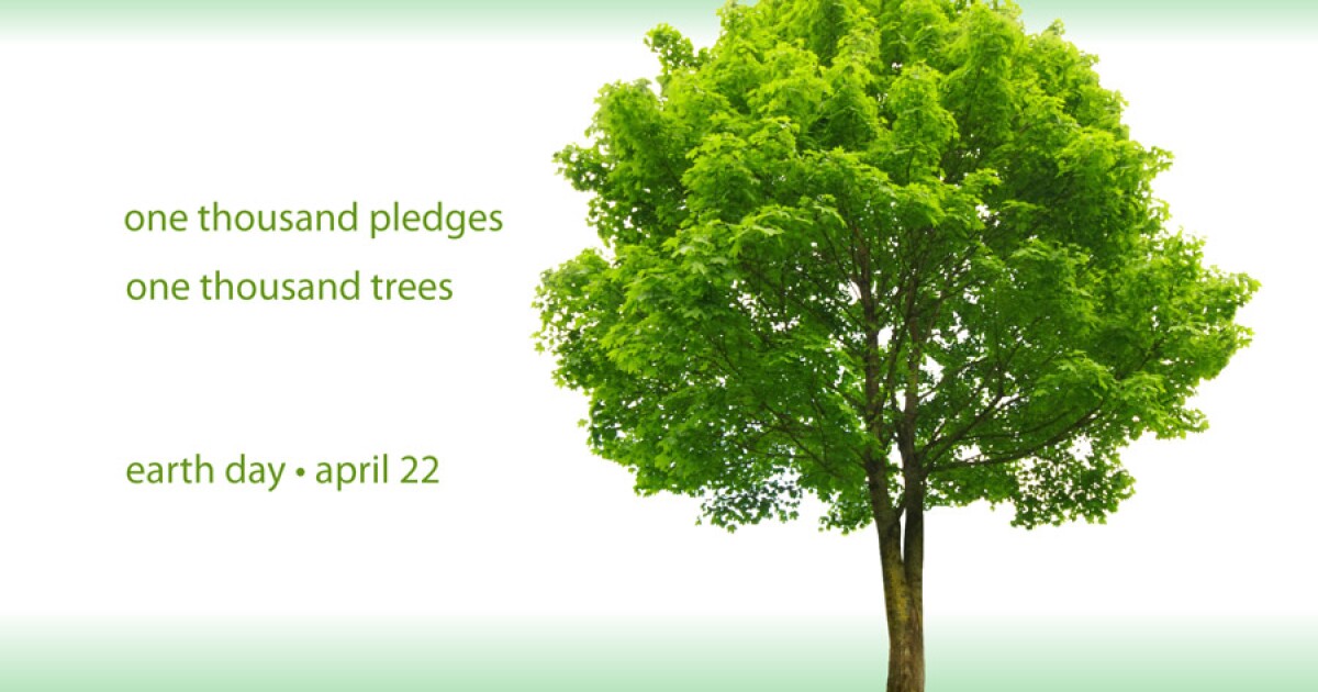 1,000 Pledges - 1,000 Trees | WKAR Public Media