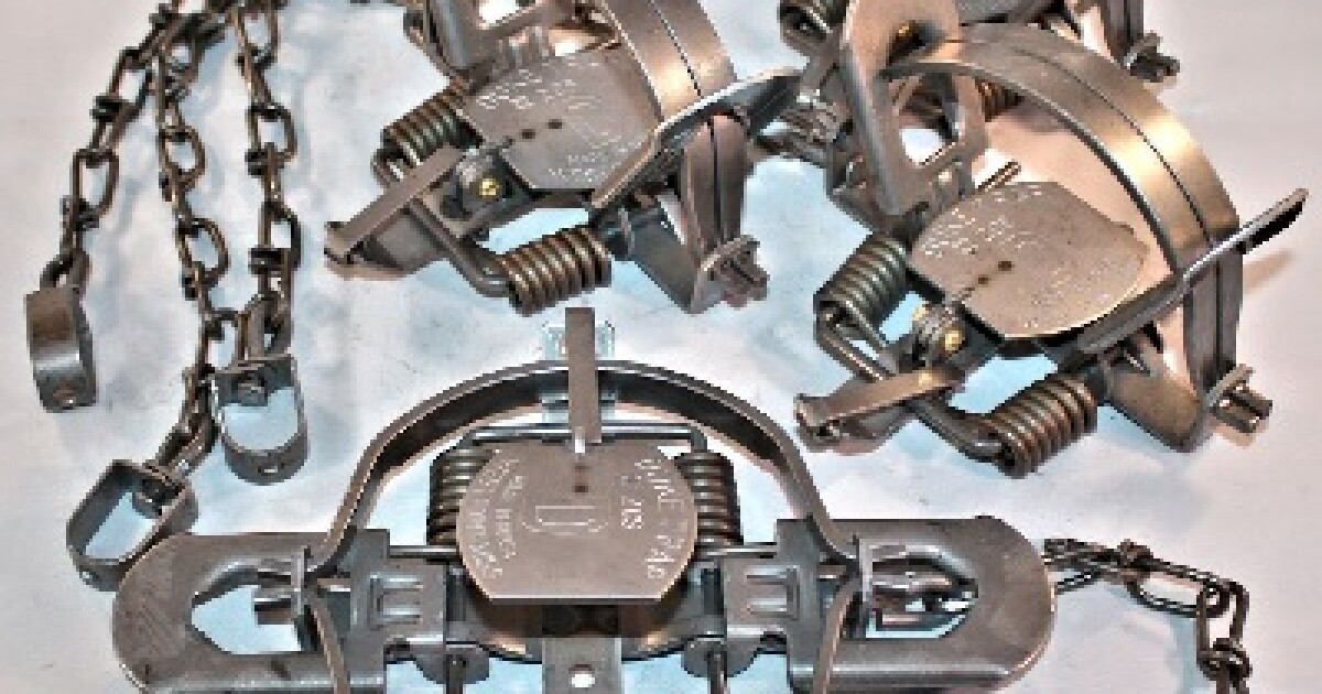 The sport of fur-trapping is alive and well here in Tennessee | WMOT