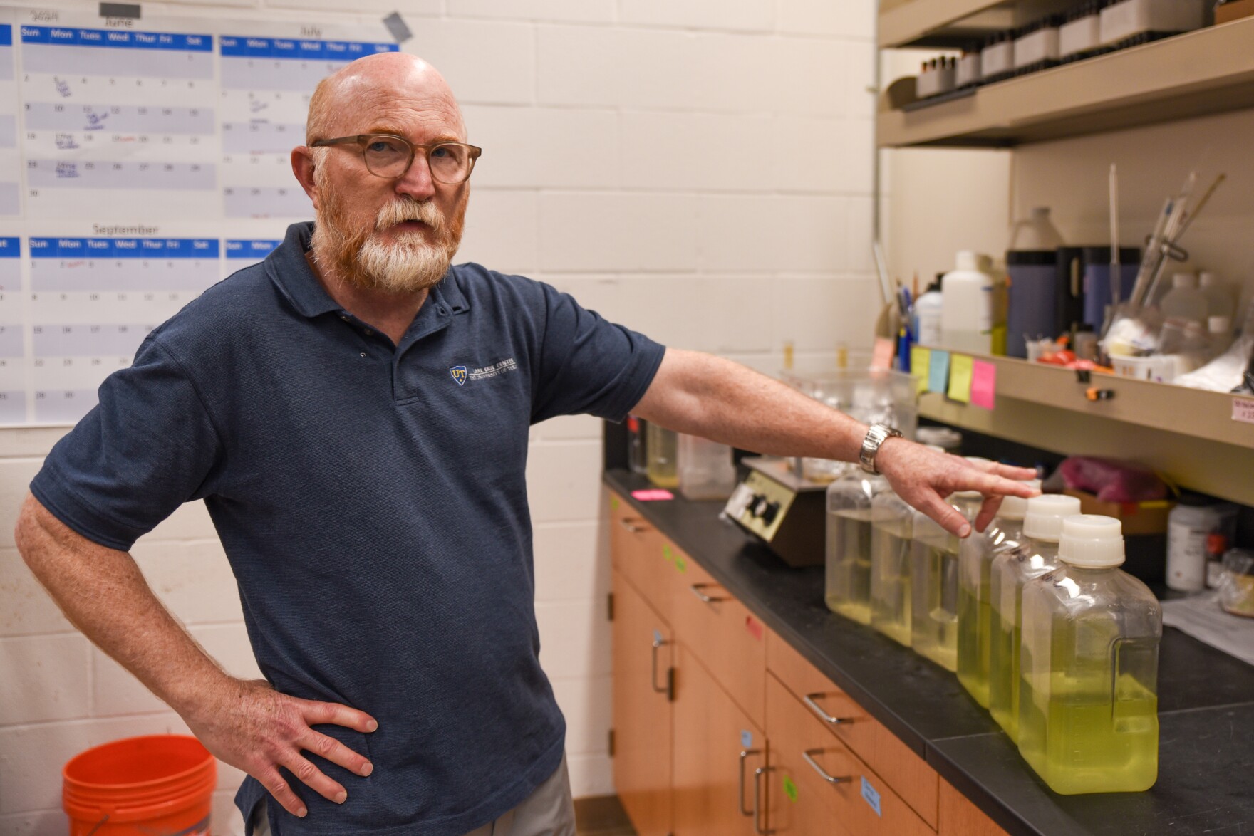 Toxic blooms on Lake Erie still a problem 10 years after Toledo issued a 'do not drink' order