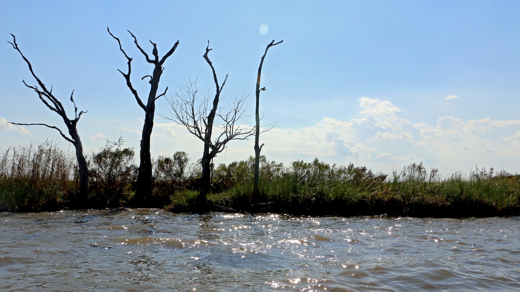 In coastal Louisiana, a sacred mound is returned to the Native American ...