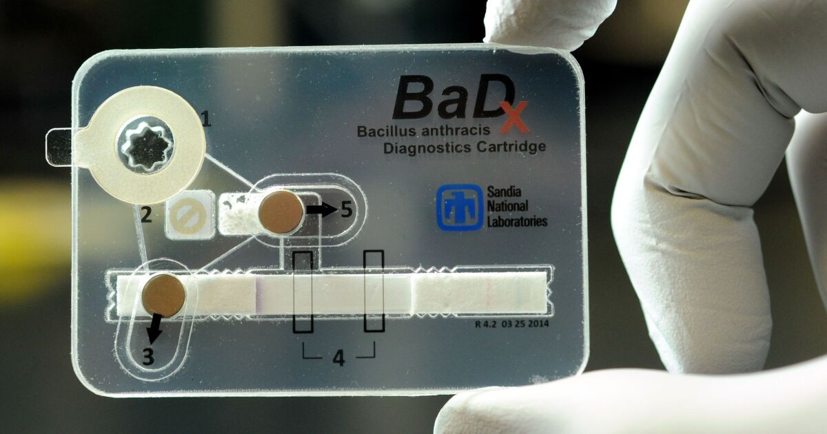 Safer Anthrax Test Aims To Keep The Bioweapon From Terrorists