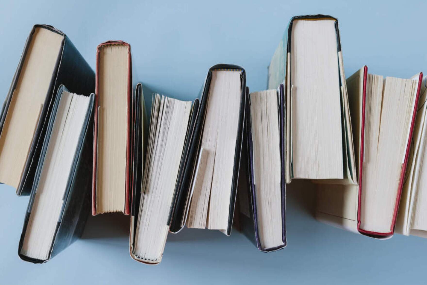 What was the best book of 2025? Our go-to book expert shares her picks