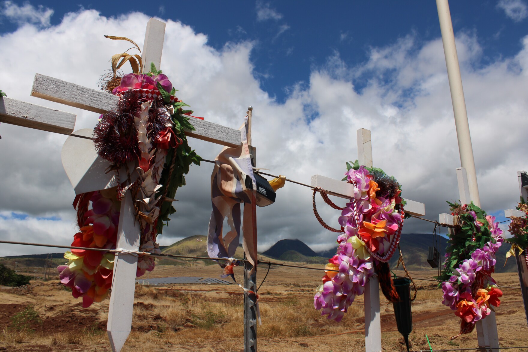 Photos: Cleanup and recovery in Lahaina 1 year after the fires | Hawai ...