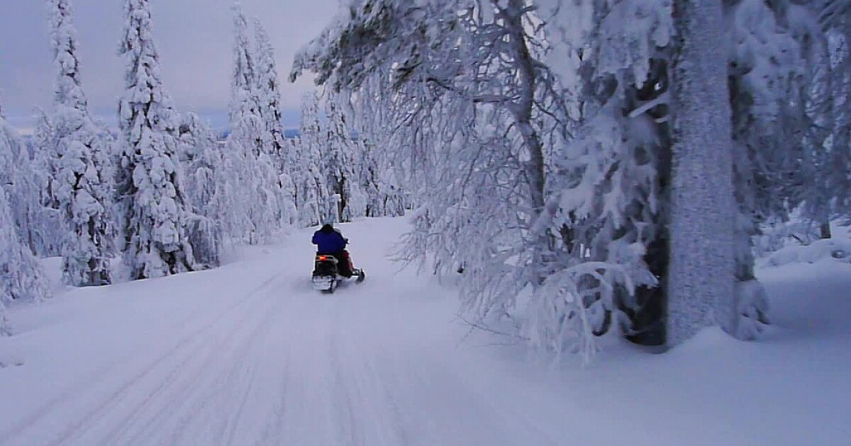Snowmobile trails reopen in Vilas and Oneida Counties | WXPR