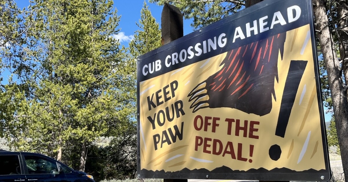 Could more creative road signs help protect grizzly bears? | Wyoming ...