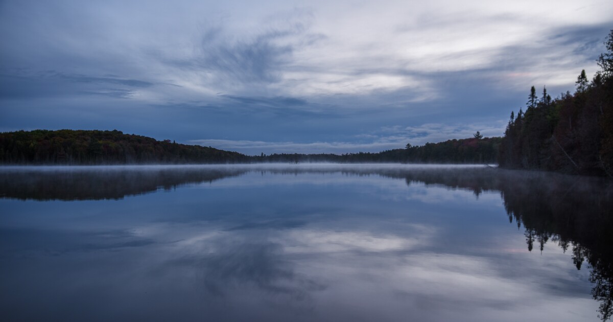 Can environmental law move beyond bedrock 1970s legislation, while adapting to current and ...