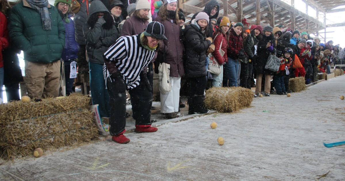 A freezing rutabaga curl brings joy and competition to Ithaca | Buffalo ...