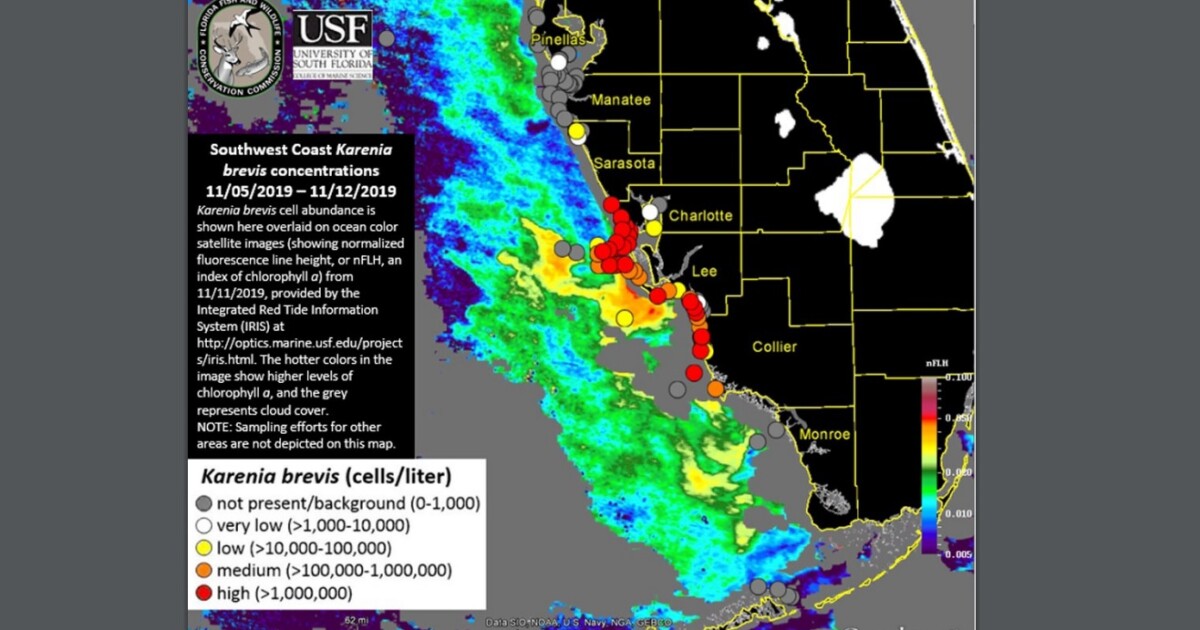 Red Tide-Related Fish Kills Now In Five Florida Counties | WUSF