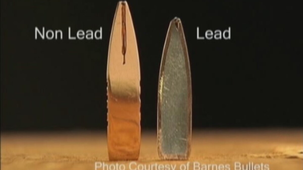 lead bullets banned