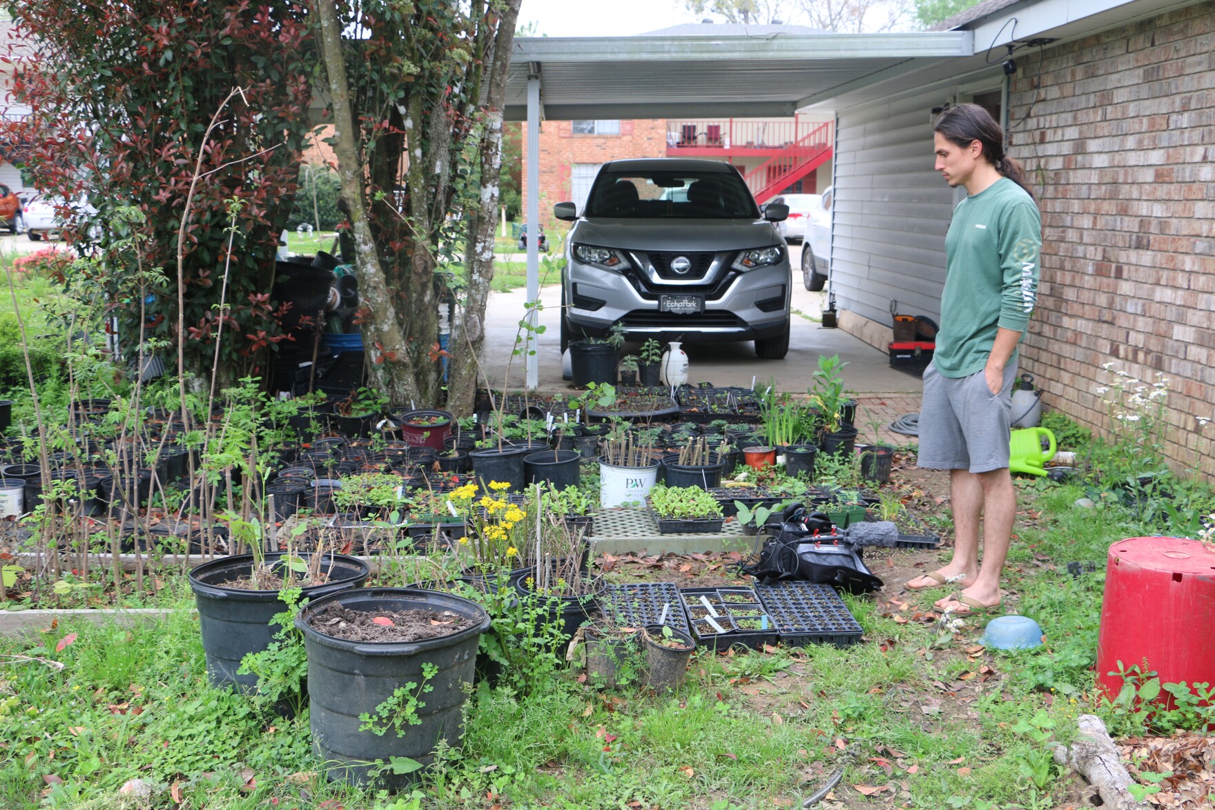 Louisiana tribes restore river cane to preserve their culture and the environment | WWNO