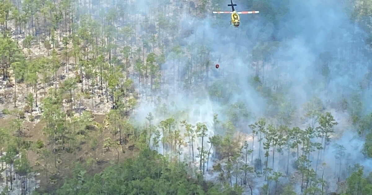 Uncontrolled Collier County fire grows to 8,400 acres | WUSF