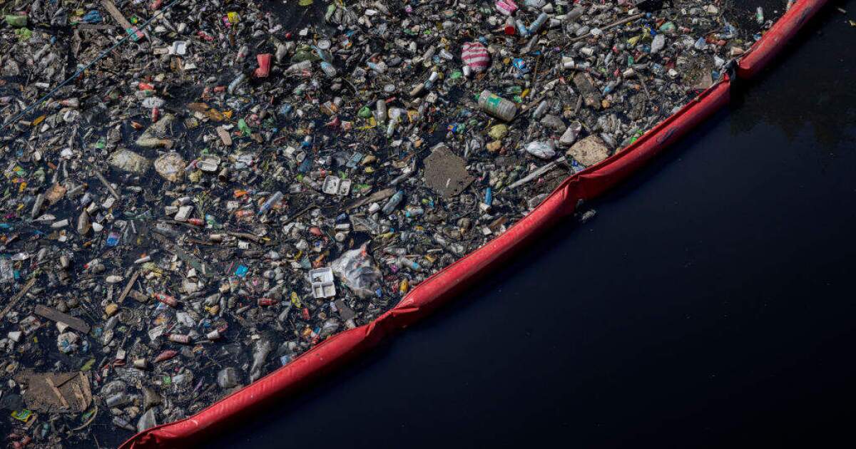 How to rid the world of plastic waste | NPR Illinois