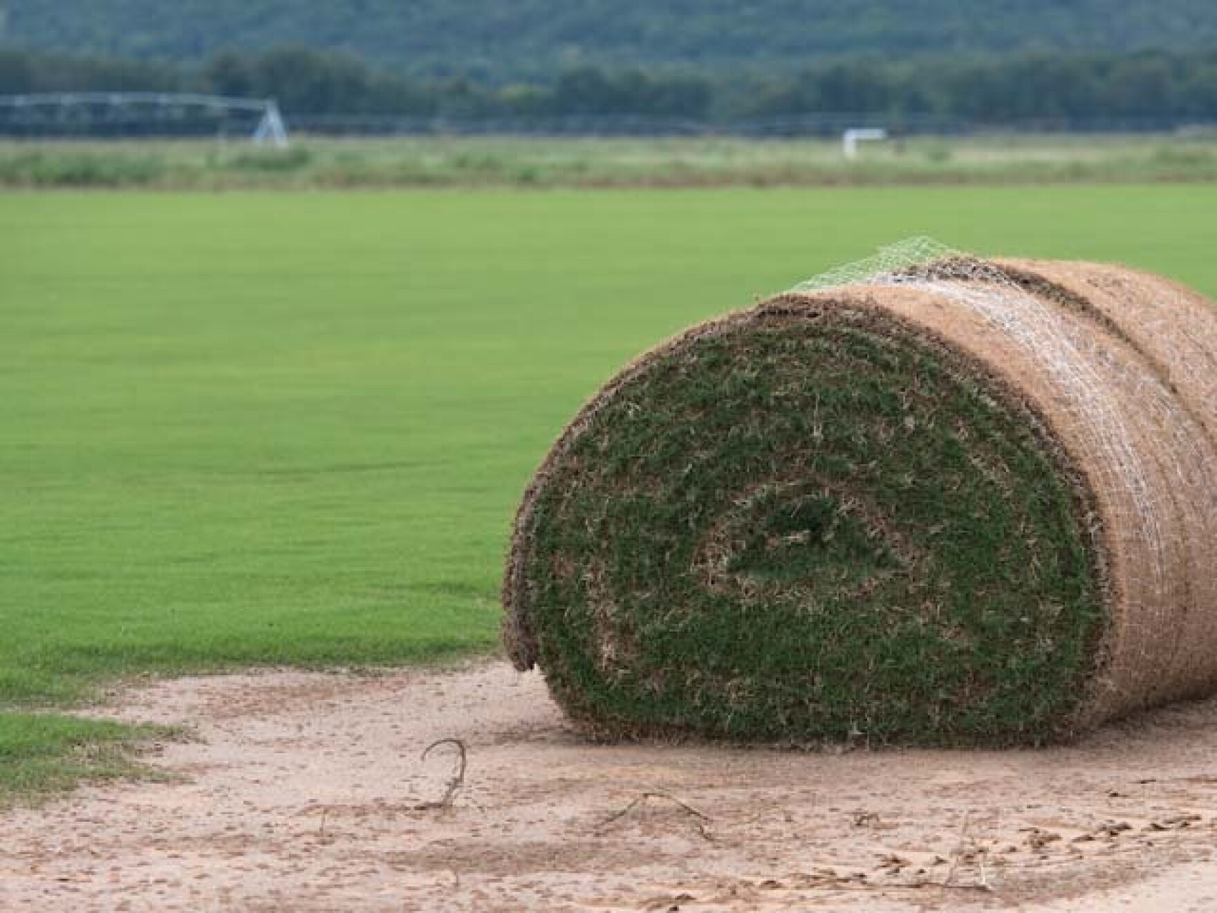 Oklahoma sod farm must pay back wages to employees | KOSU