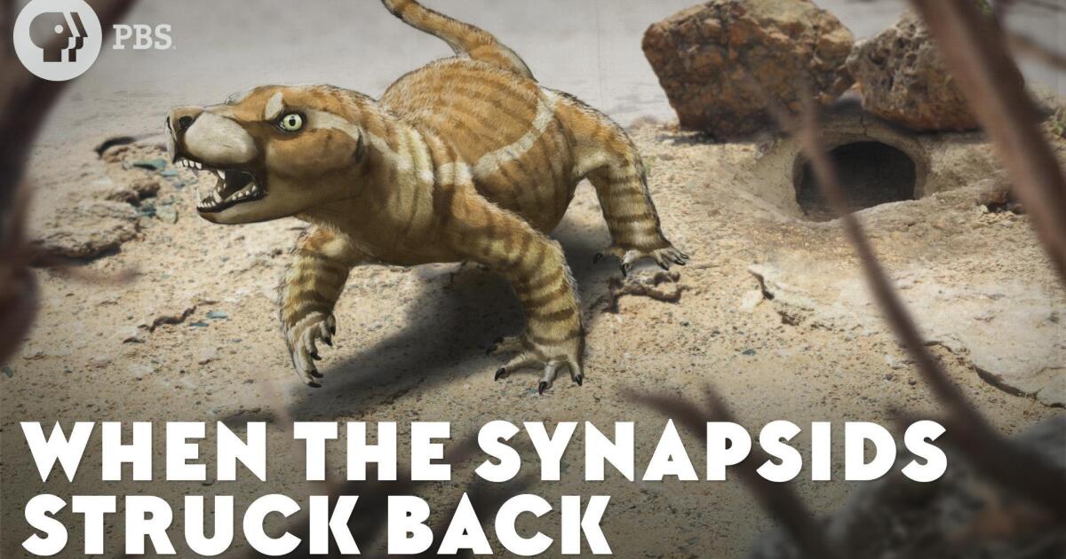 When the Synapsids Struck Back
