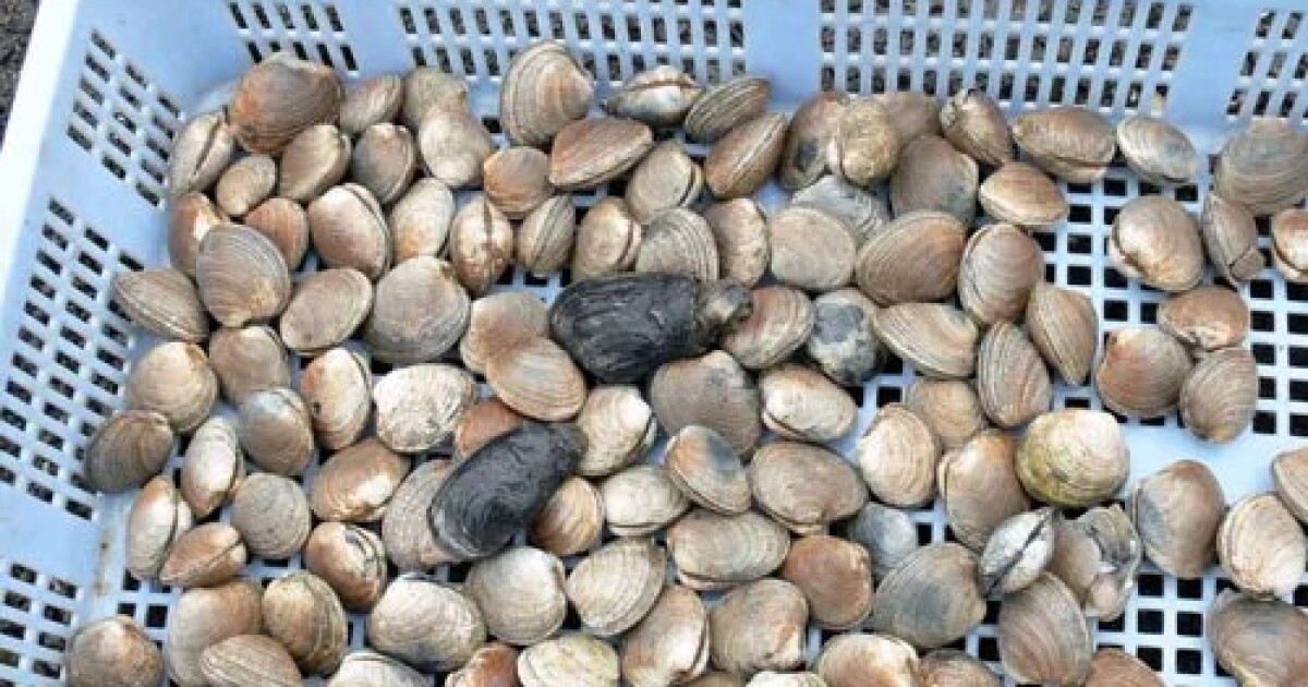 Two Mays in a row harmful algal blooms observed in Kodiak waters ...