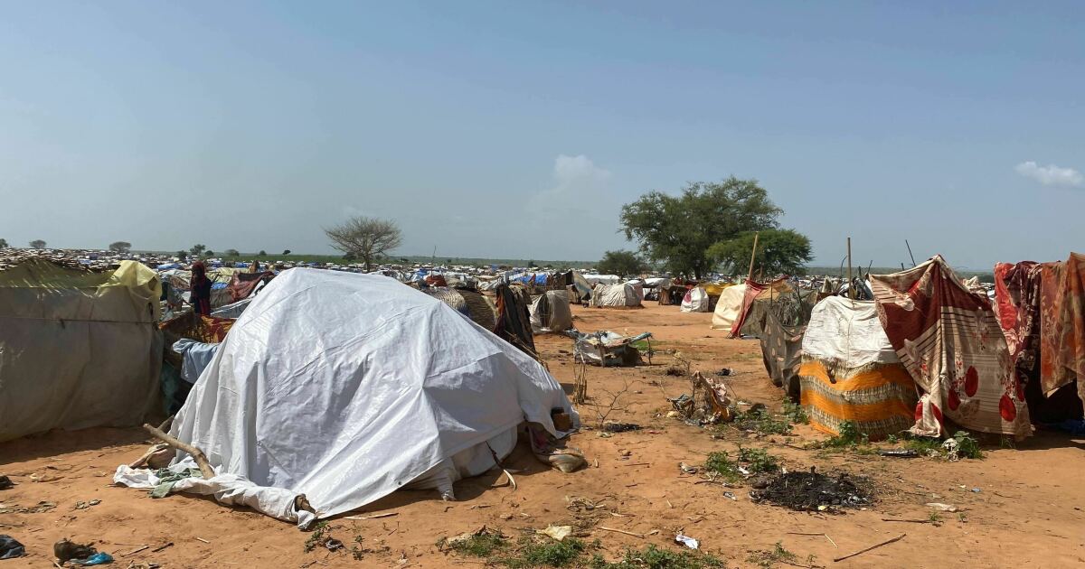 Sudanese refugees in Chad scramble to survive | WAMC