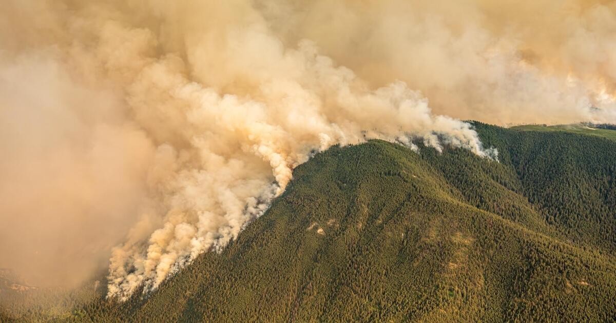 How western wildfires spread harmful particles across U.S. | Vermont Public