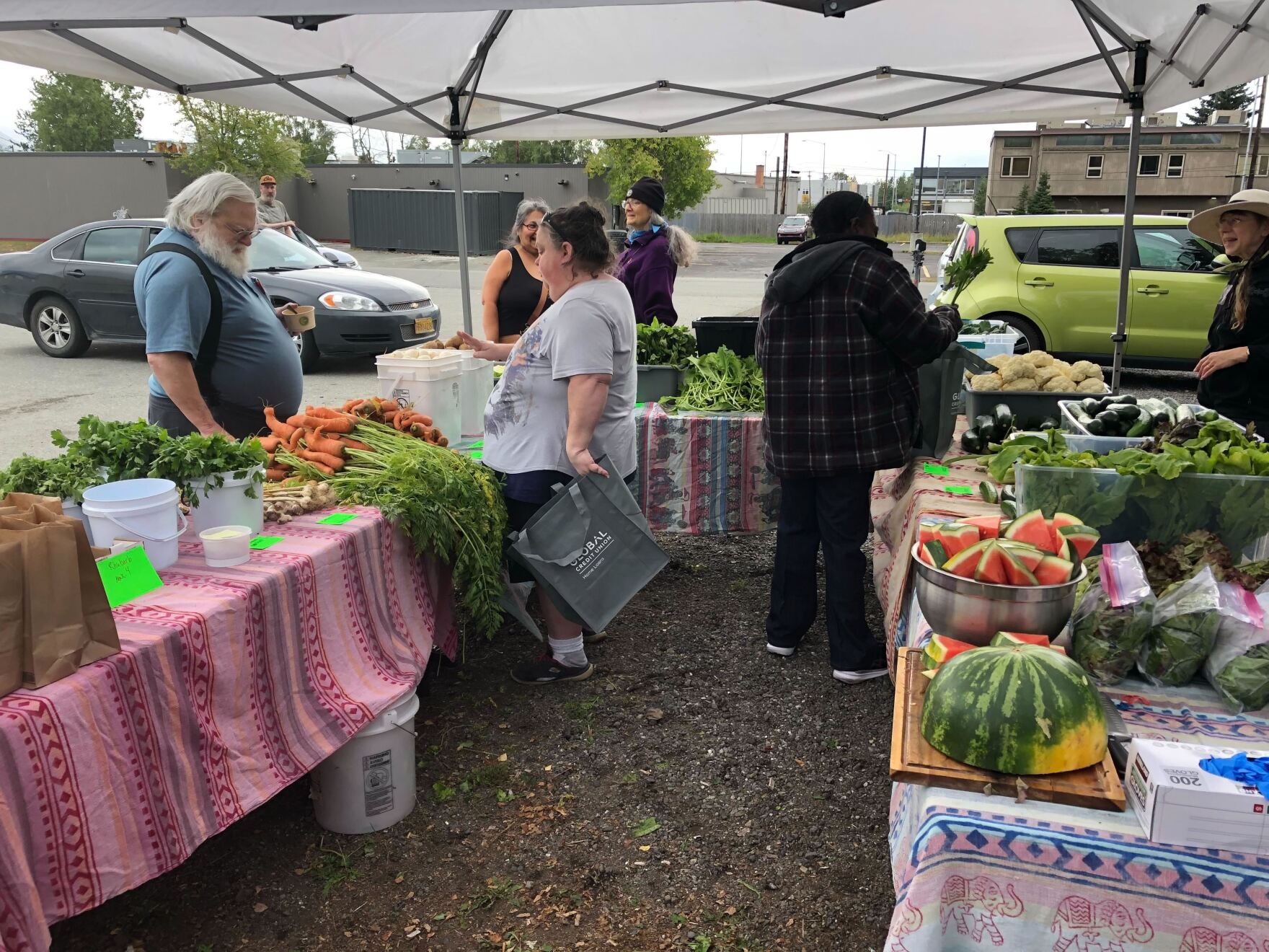 Anchorage gardener starts free farm stand for residents in need
