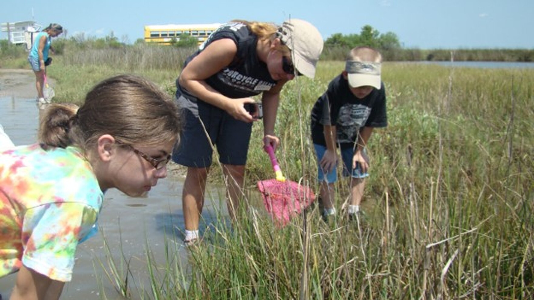 Dauphin Island Sea Lab offering salt marsh excursions, other outings ...