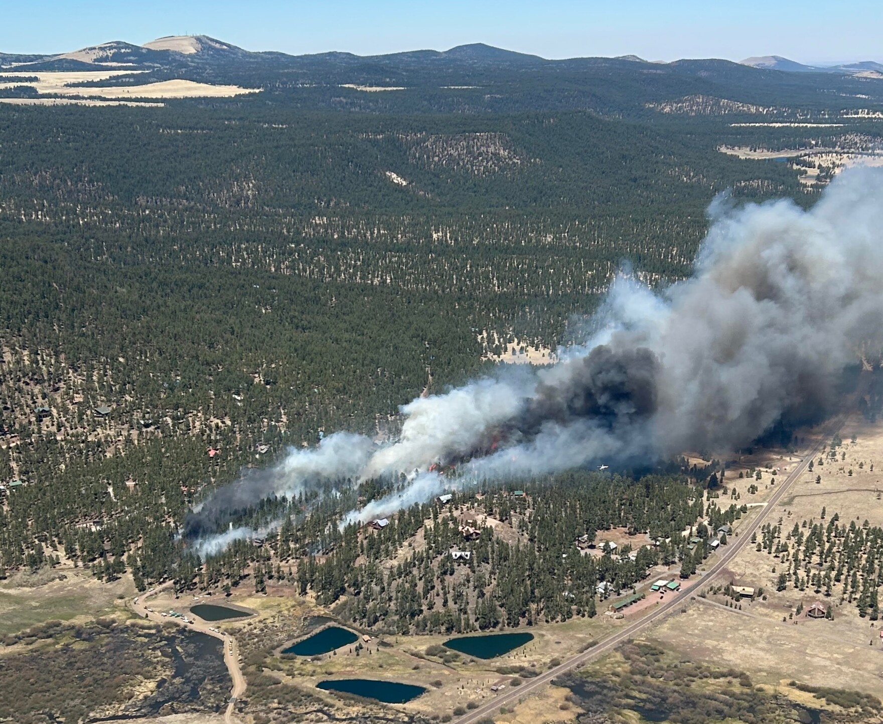 Wind-driven wildfire forces evacuation of Greer in eastern Arizona