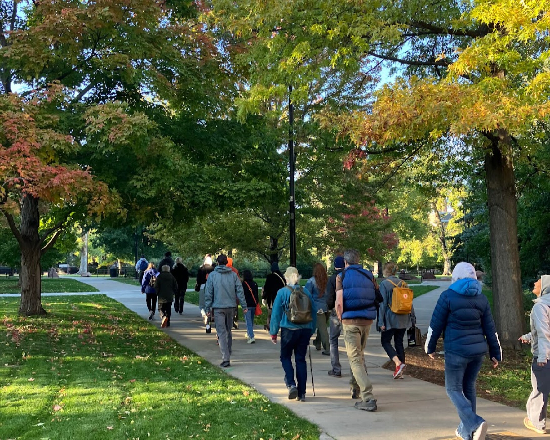 CU Boulder tree walk showcases campus fall foliage | KSJD