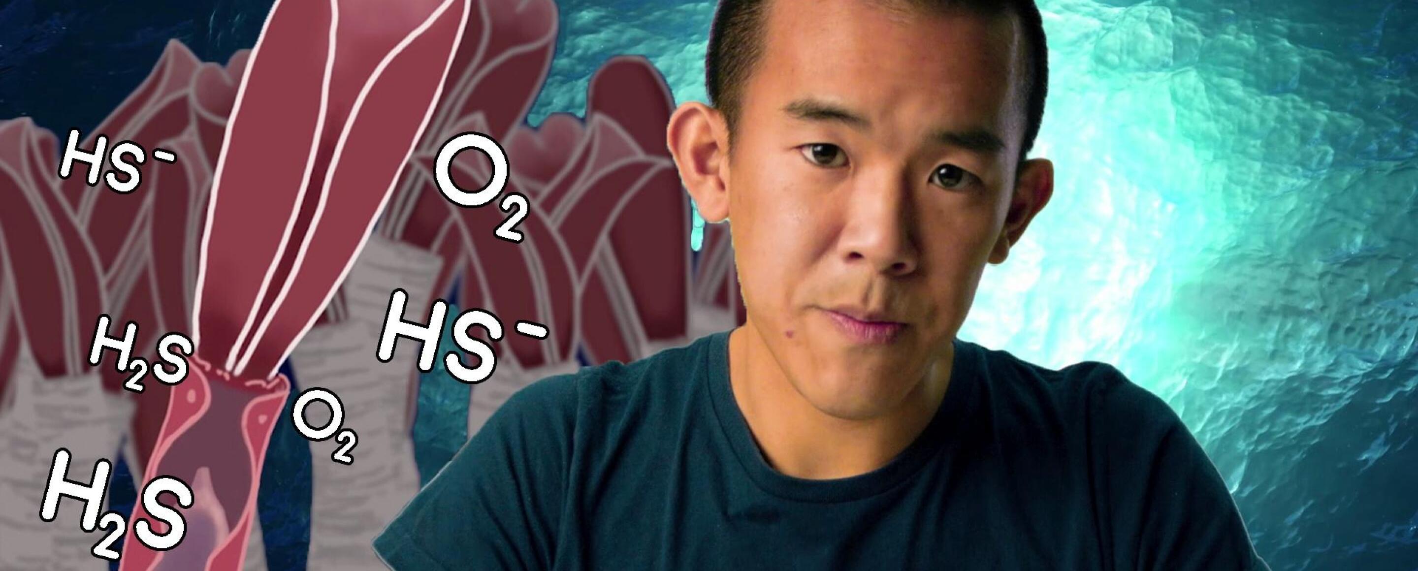 How Giant Tube Worms Survive at Hydrothermal Vents