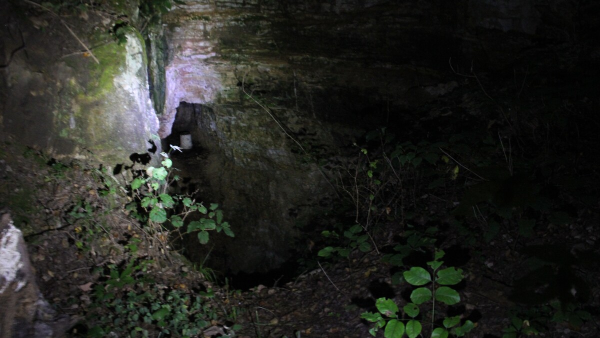 nick cave aggregates