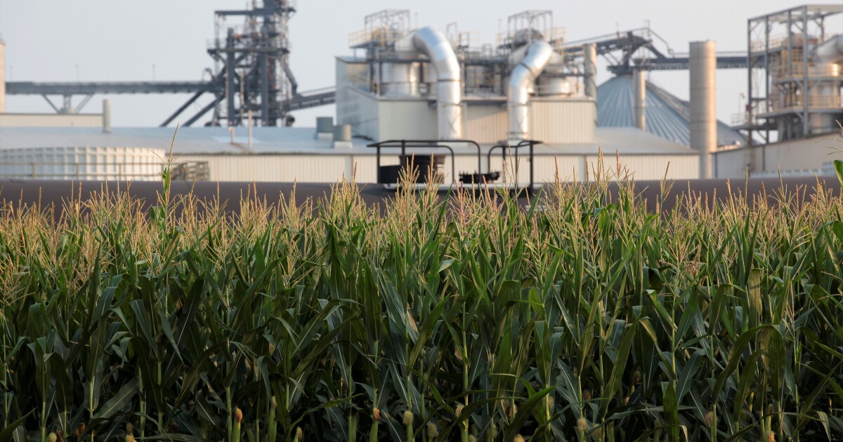 Talks of the Navigator carbon capture pipeline are extending beyond the ...