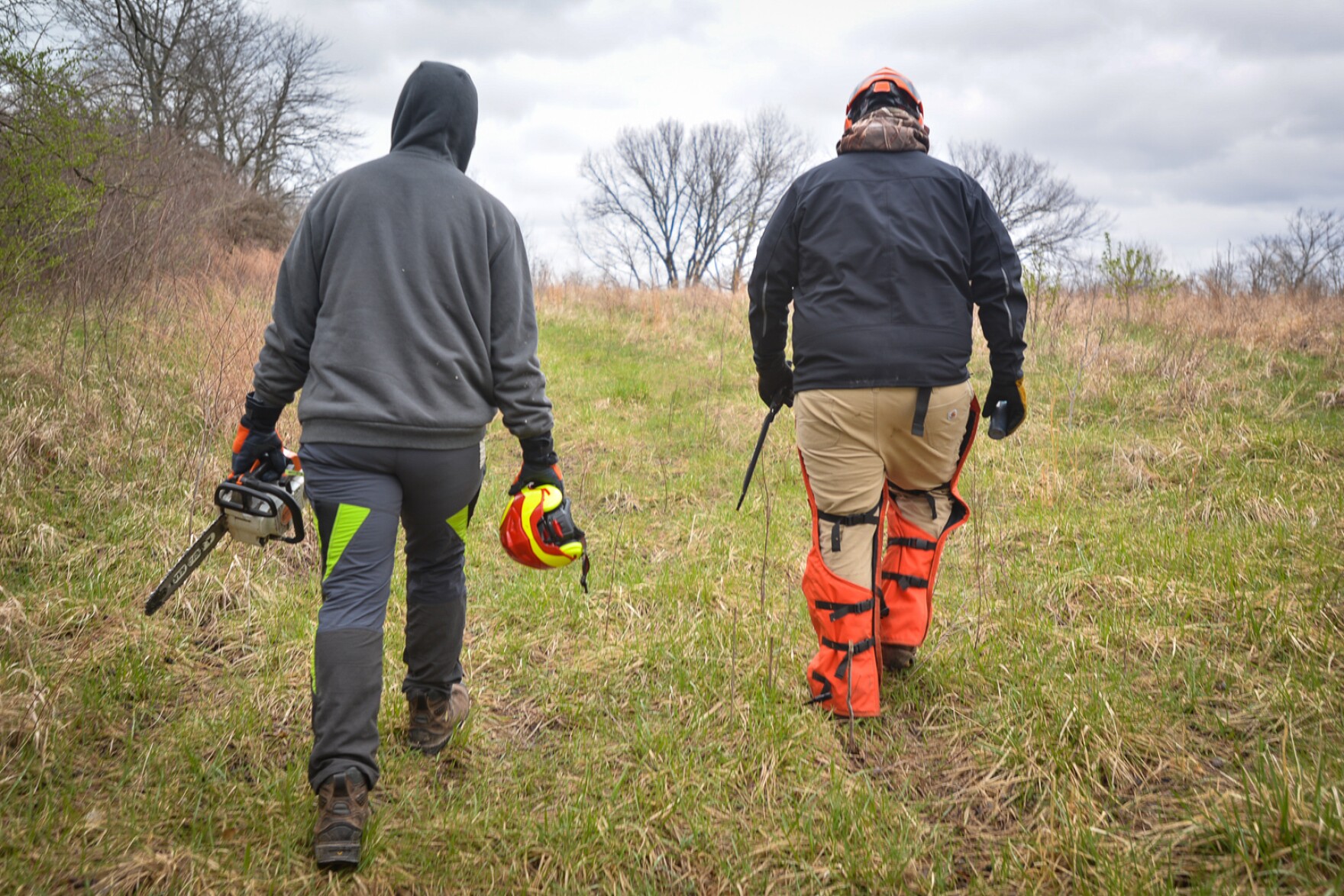 Kansans are clearing invasive species from woods and prairies so native ...