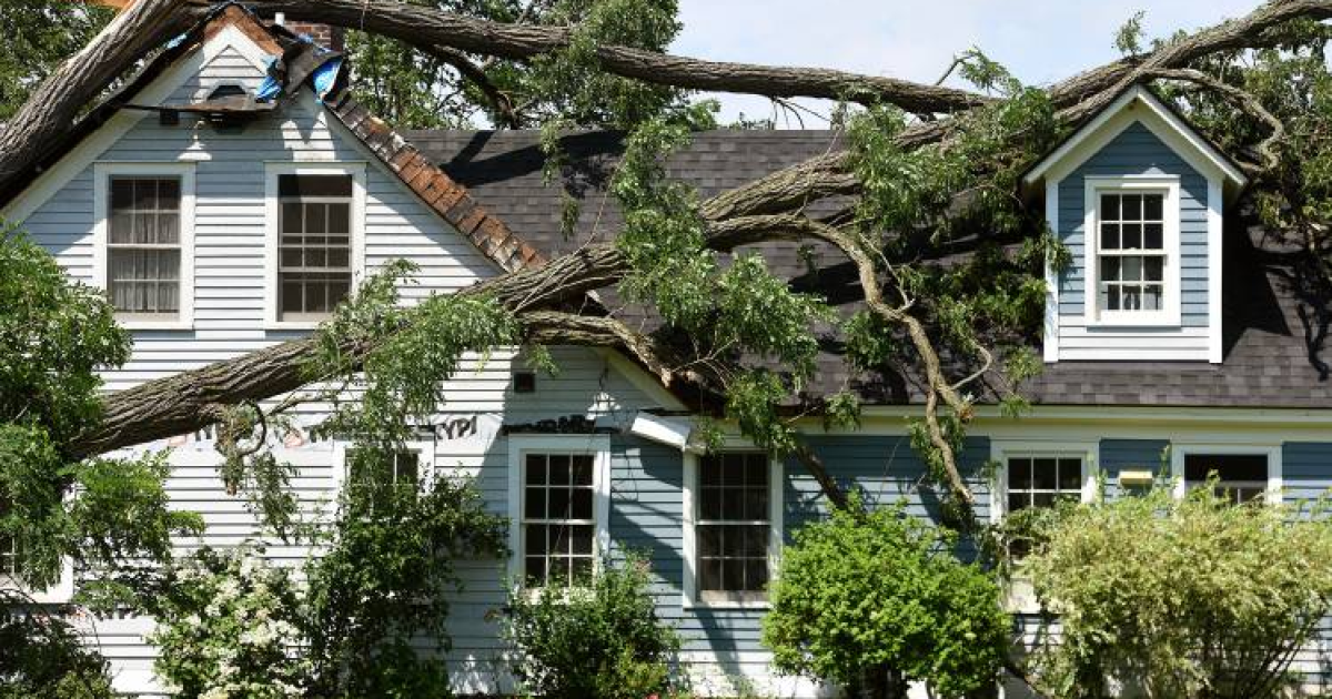 Tornado in NH: 'It was like the Wizard of Oz' | New Hampshire Public Radio