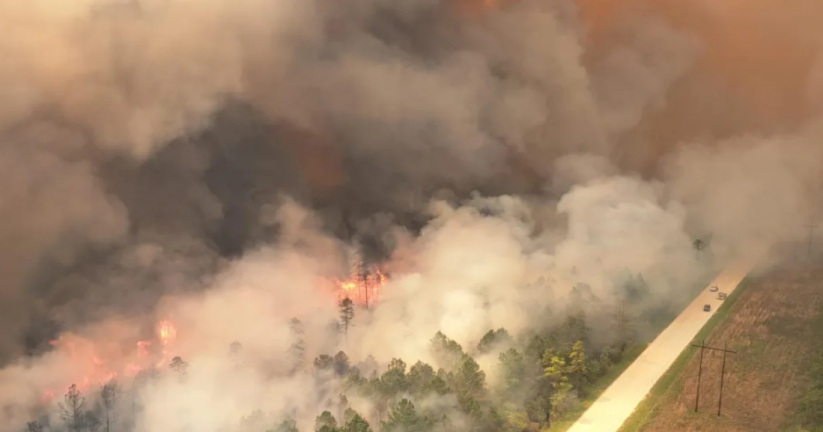 Massive blaze struck Croatan National Forest in 2023. Next fire on NC ...