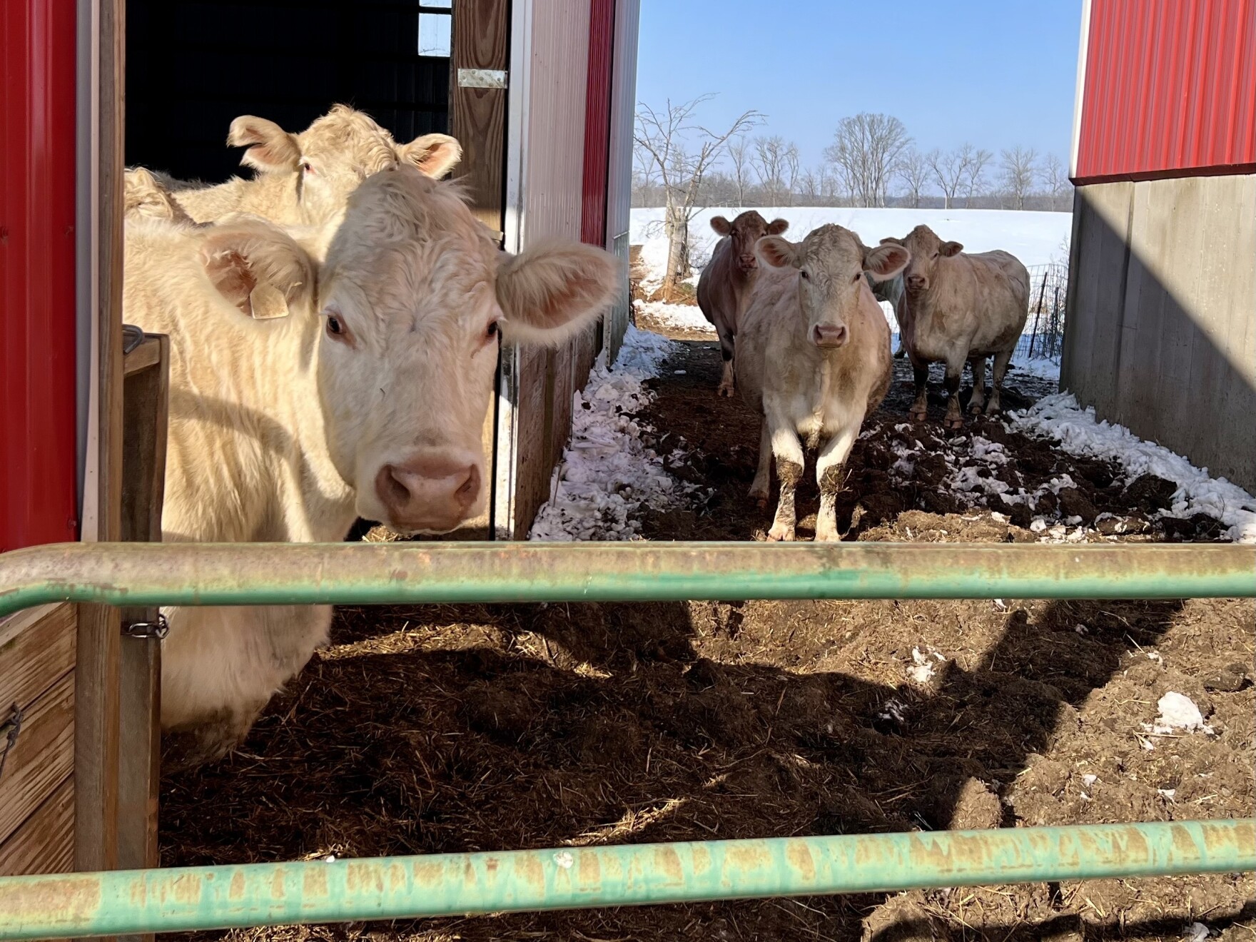 As Ohio’s agricultural landscape changes, these century-old family ...