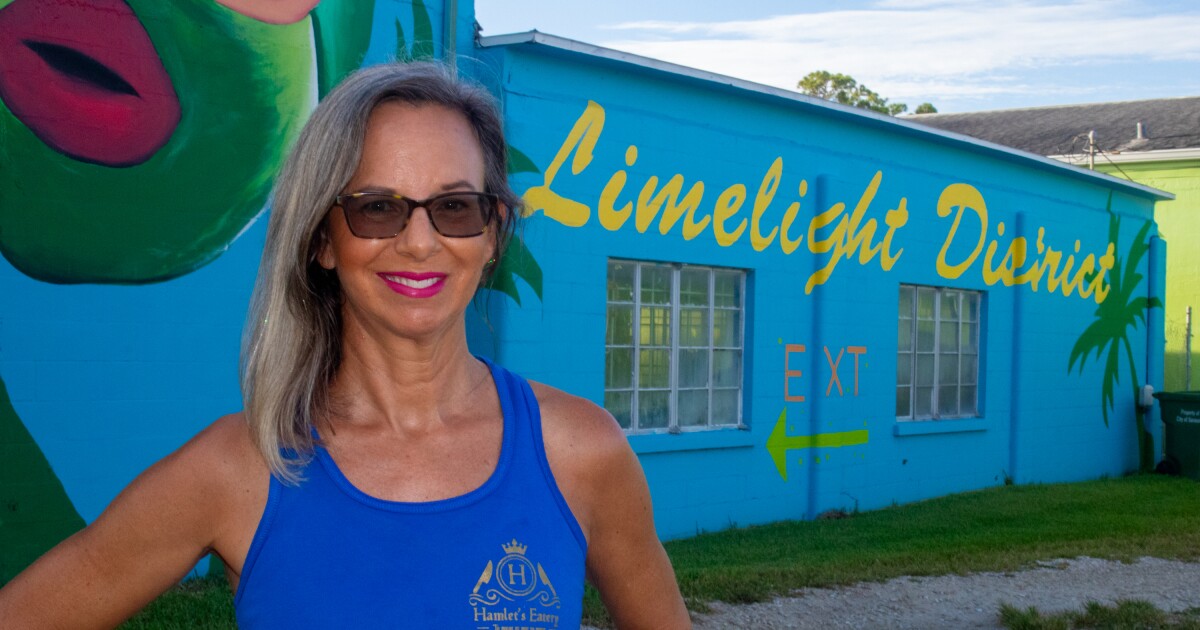 Limelight District aims to appeal to city leaders and artists | WUSF