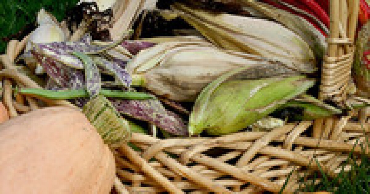 University advocates Native American farming methods